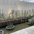 Donna AQUA – Grupo Landscape